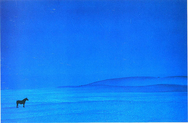 See more Share on Facebook