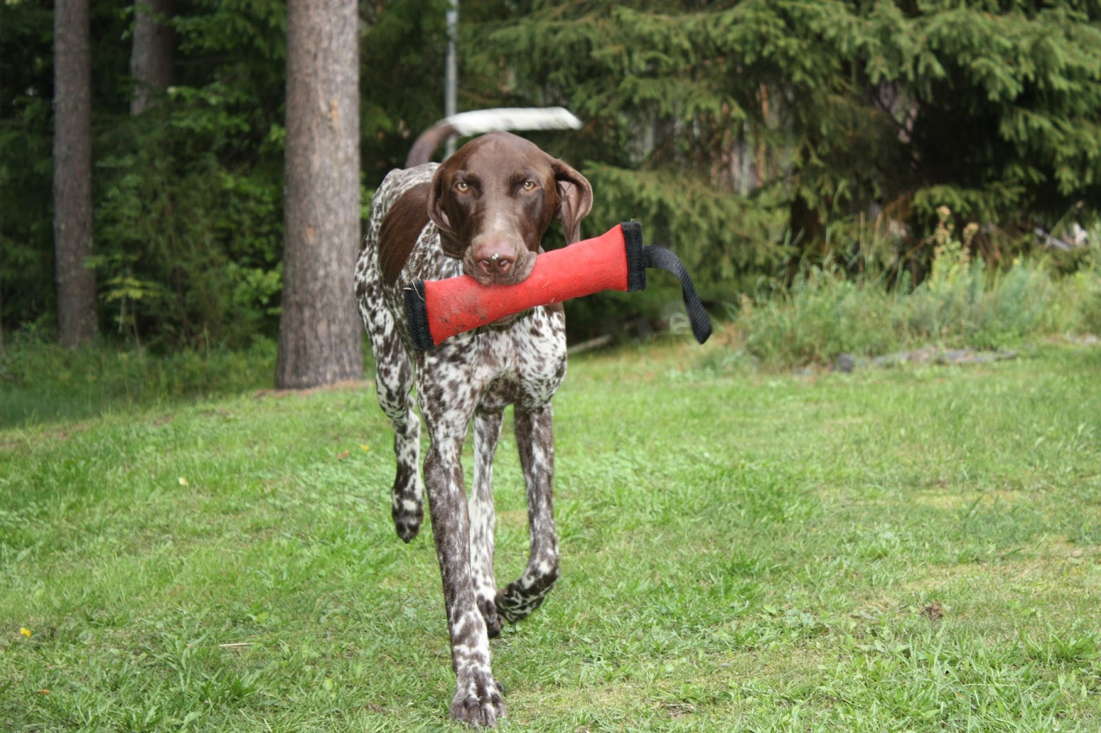 Minna Viide: Gallery