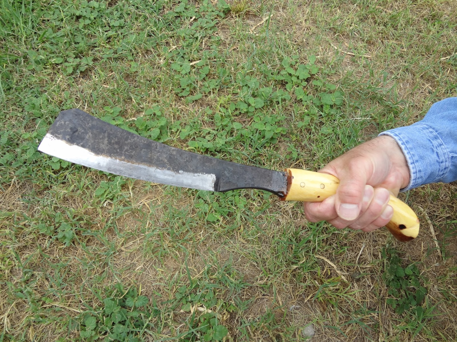 Woods Roamer: Texas Brushlands Parang....