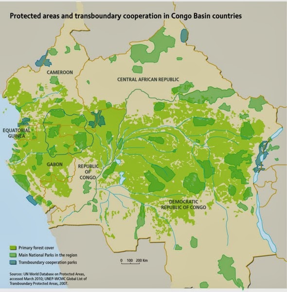 Tropical Rainforests in the Congo Basin