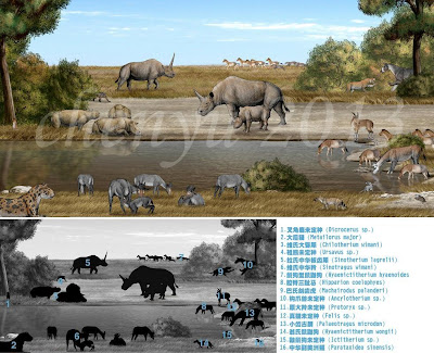 Species New to Science: [PaleoMammalogy • 2012] A Bizarre tandem-horned ...
