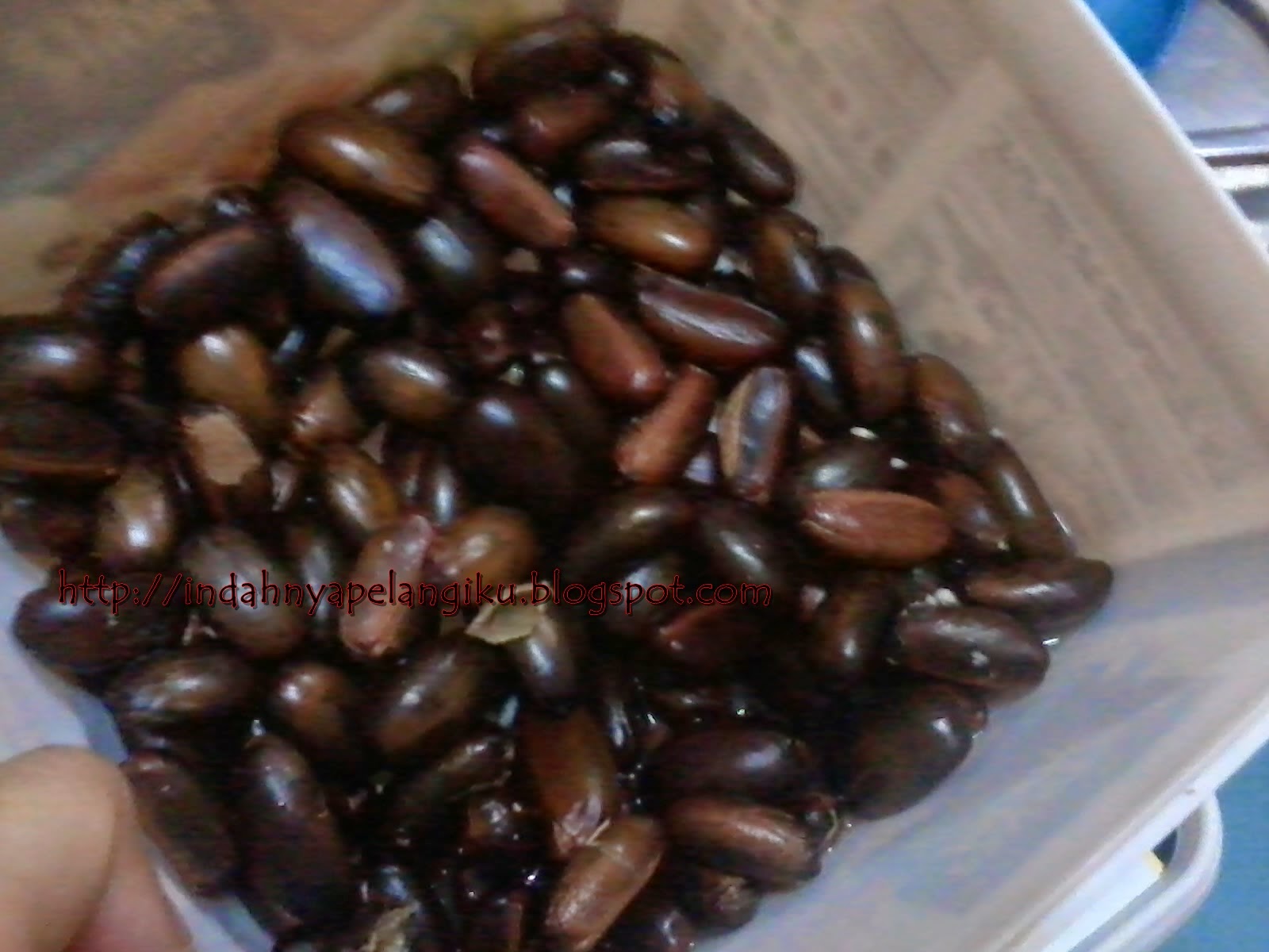 FATIN WAWA: Buah Perah