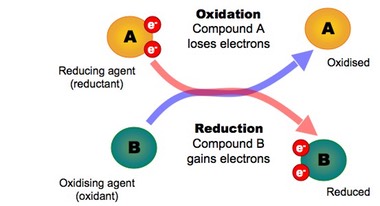 Pärlor för svin - Fabrikör Ekstedts betraktelser: Bryggning och ...