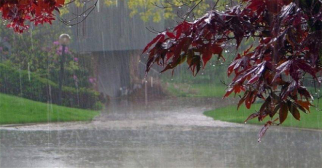 The Smell Of The Rain Reduces Stress And 7 Other Benefits Of Walking In ...