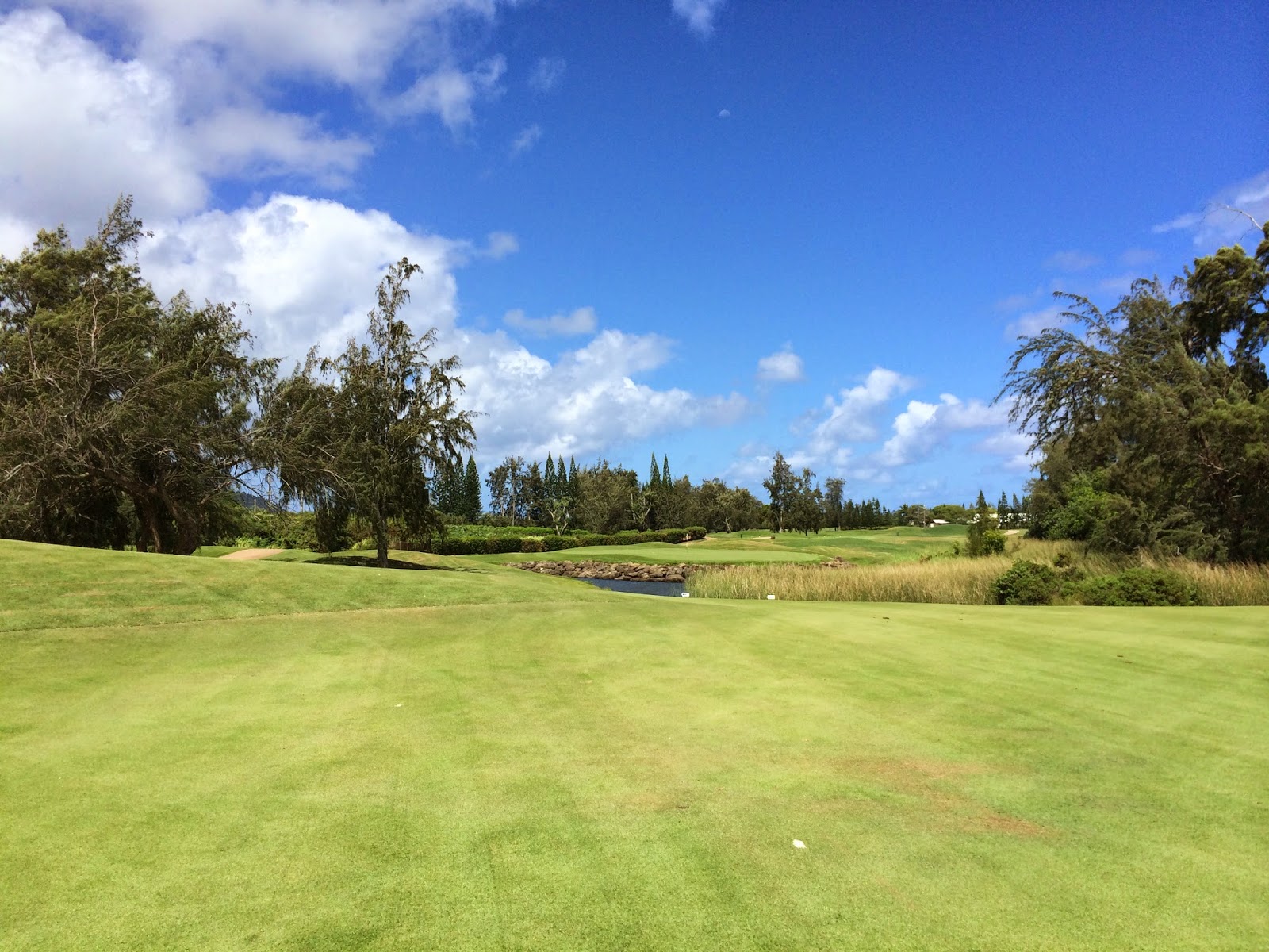 TASTE OF HAWAII: TURTLE BAY GOLF RESORT - THE PALMER COURSE
