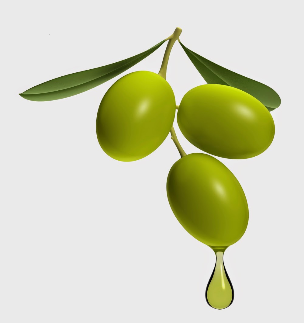 Manfaat Dan Khasiat Minyak Zaitun Untuk Kesehatan Rambut | Tips Sehat