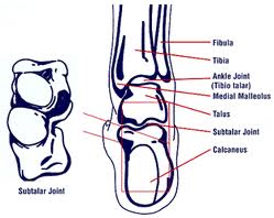 Chris Reynolds Osteopathy & Physiotherapy: Chronic Ankle pain treatment ...