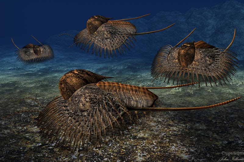 Life Before the Dinosaurs: Cryptolithus.