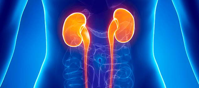 Síntomas que nos alertan de un fallo o insuficiencia renal