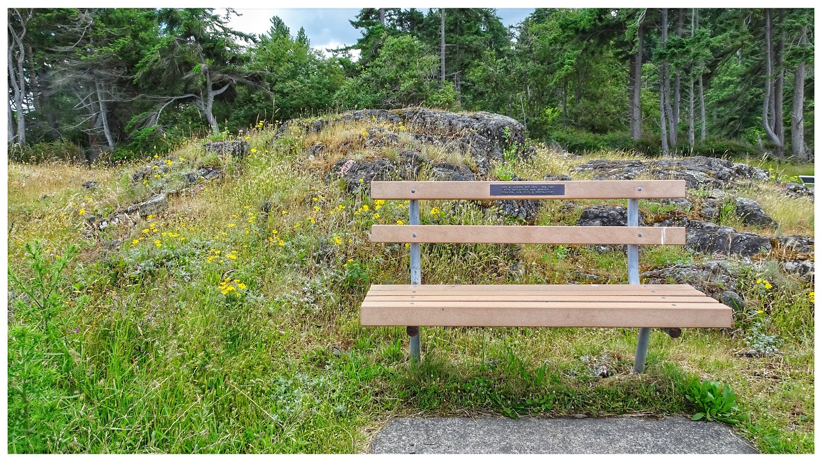 20+ Parks in Nanaimo: Neck Point Park