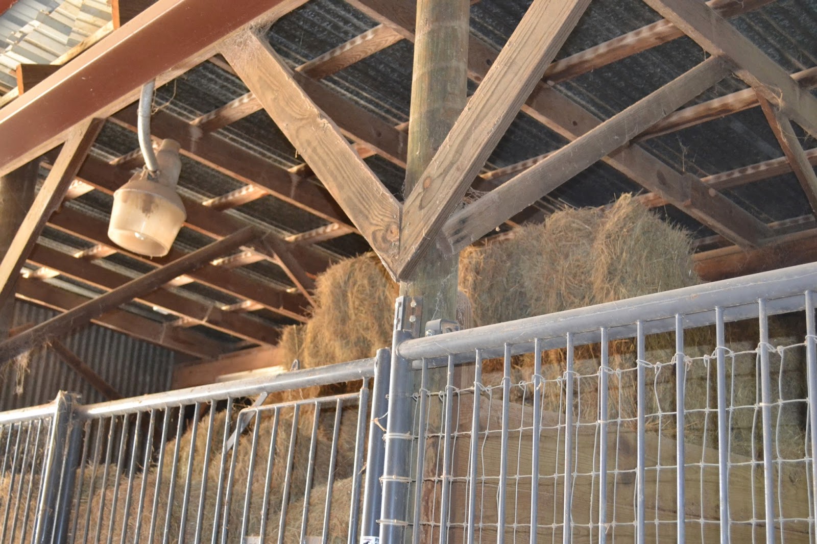 My Stuff: Who Vacuums Their Barn?