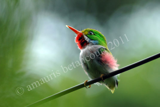 FlashCuba: PHOTOS ABOUT CUBA FROM HOLGUIN, AN EASTERN PROVINCE.: Gibara ...