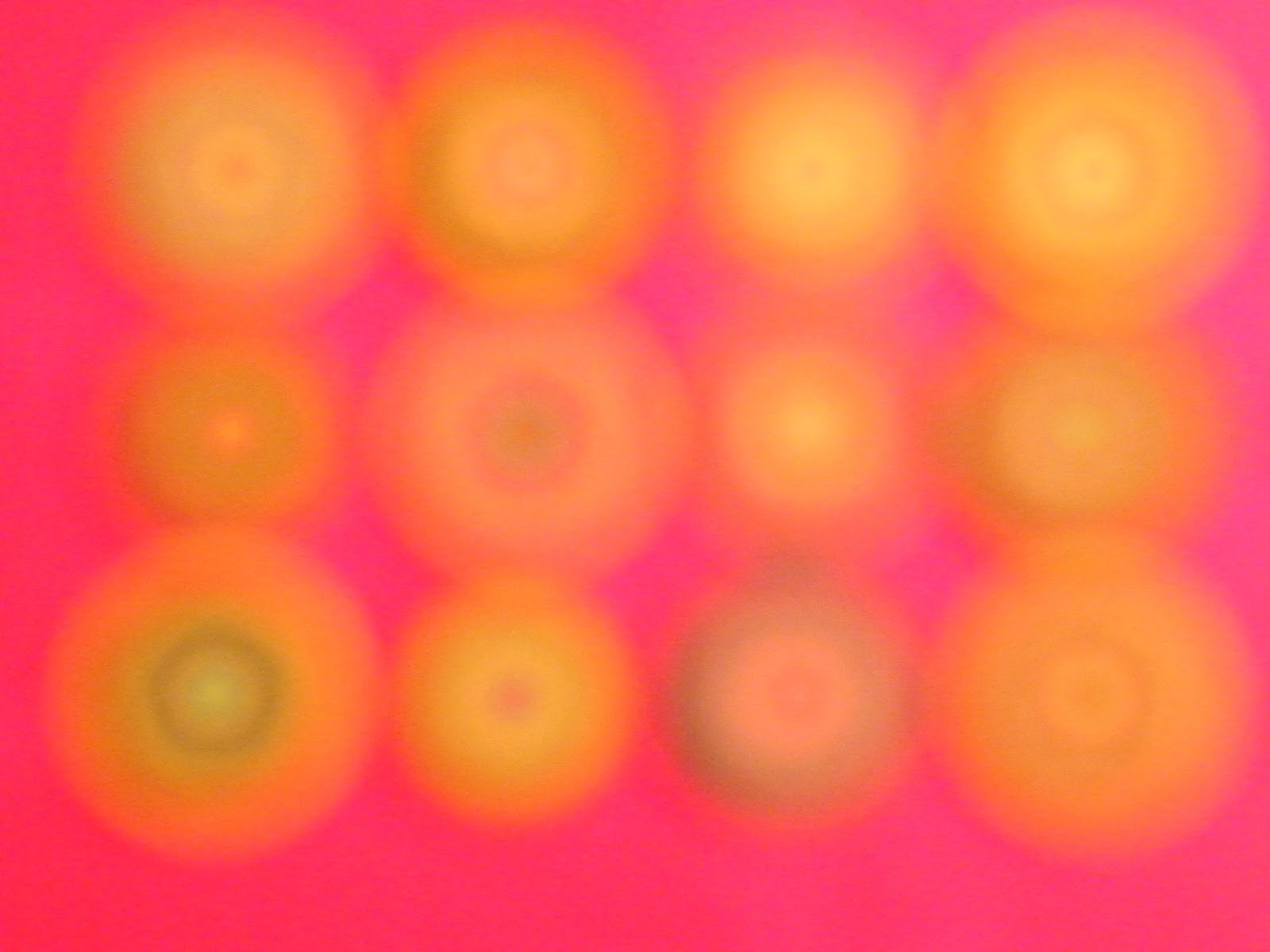 perlerummet: Perleplader