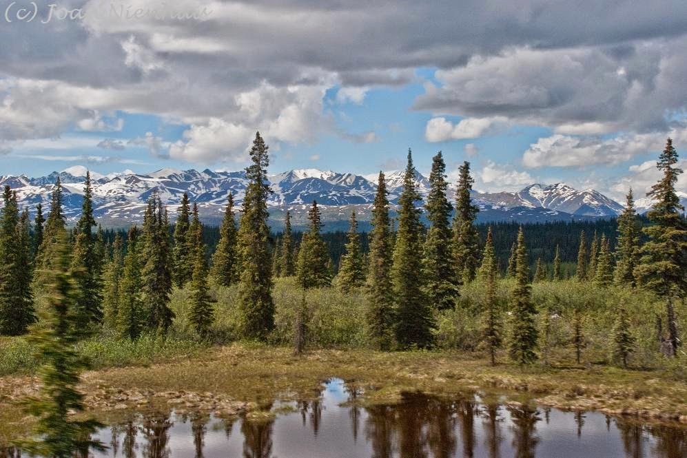 Pacific Northwest Photography: Broad Pass, Alaska