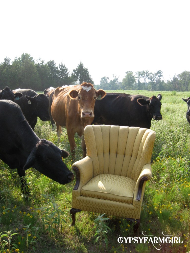GypsyFarmGirl: Checkin' Out the Chair