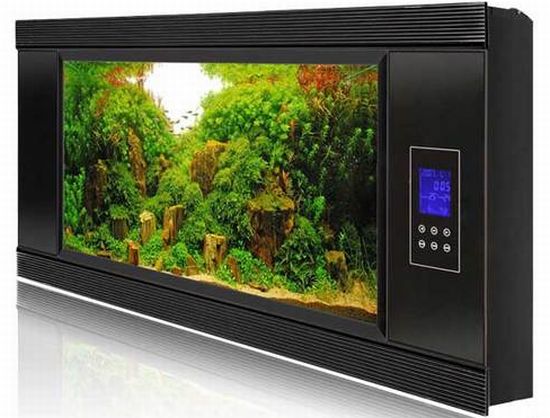 Aquarium Dinding (Aquawall) perpaduan seni dan keindahan