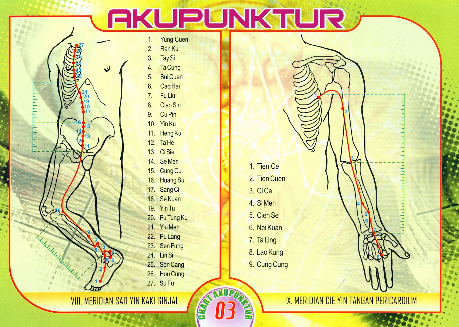 TERAPI BEKAM DAN TOTOK PUNGGUNG DI JOGJA DENGAN TERAPIS PRIA DAN WANITA ...