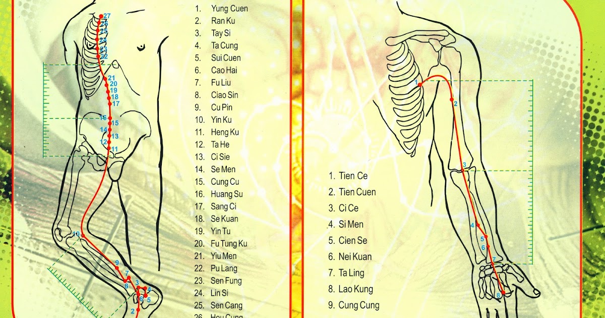 WA: 087839711576 - RUMAH TERAPI THIBBUN NABAWI JOGJA: TITIK MERIDIAN ...