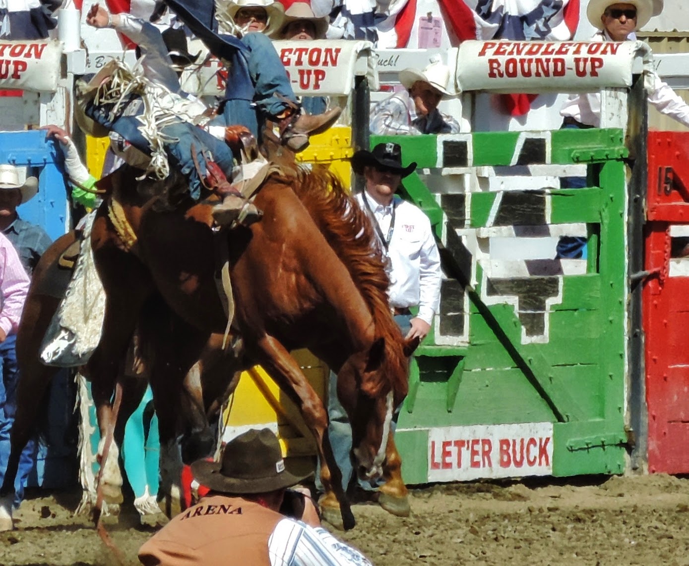 2015 TRAVELS : PENDLETON ROUND-UP - LET 'ER BUCK!