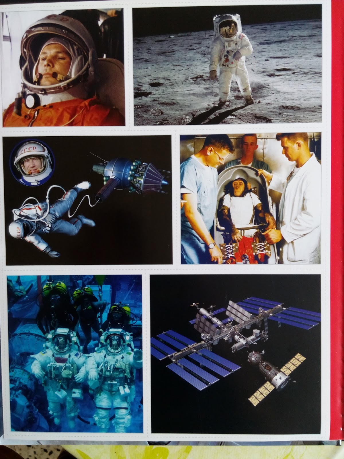 Ma tribu de jumeaux, : Les astronautes, un livre de chez fleurus ... Ma tribu de jumeaux, : Les astronautes, un livre de chez fleurus ...