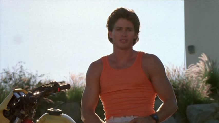 Please Help Me, I’m Falling (Off the Radar): 9. American Anthem (Albert ...