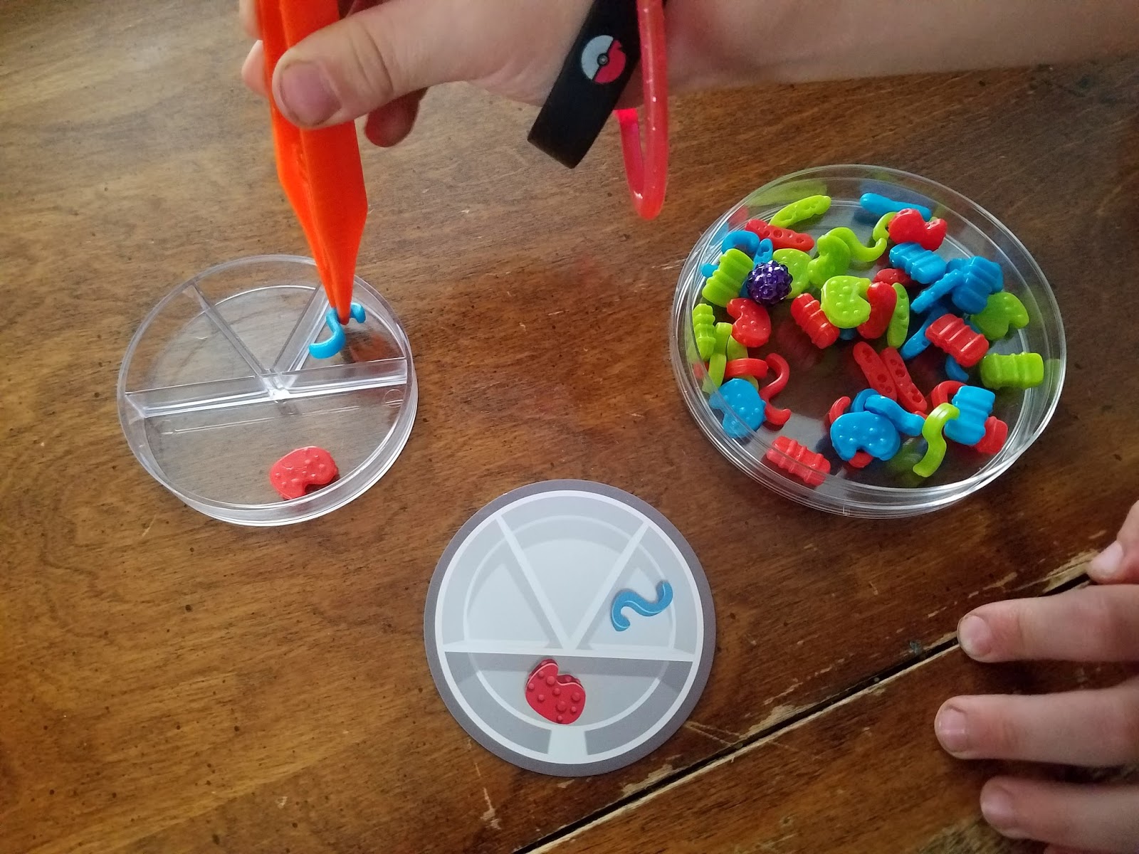 Dr. Microbe Review - EverythingBoardGames.com