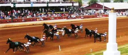 View From the Racetrack Grandstand: 2011 Grand Circuit At The Red Mile