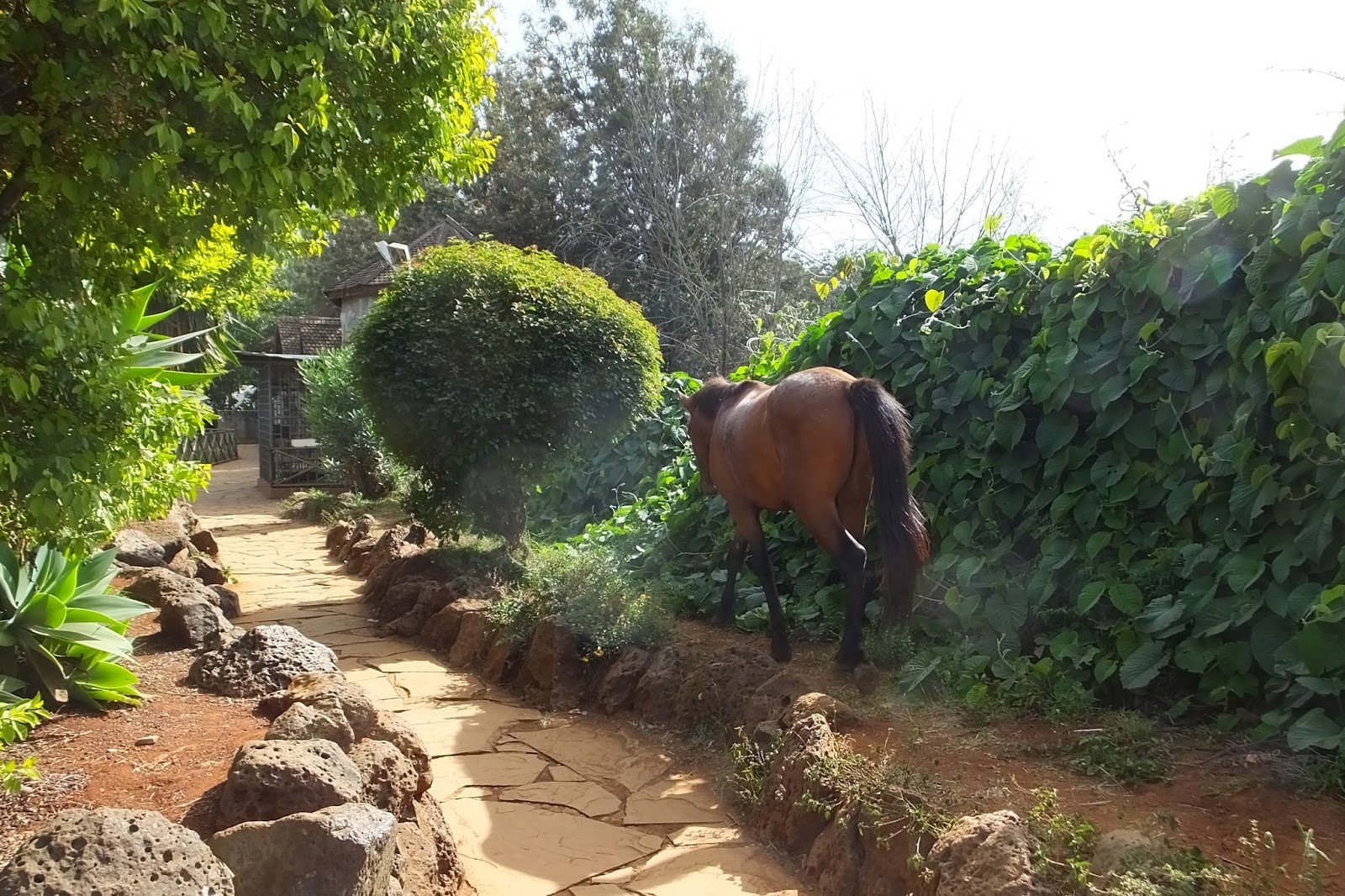 Mamba Village, Nairobi
