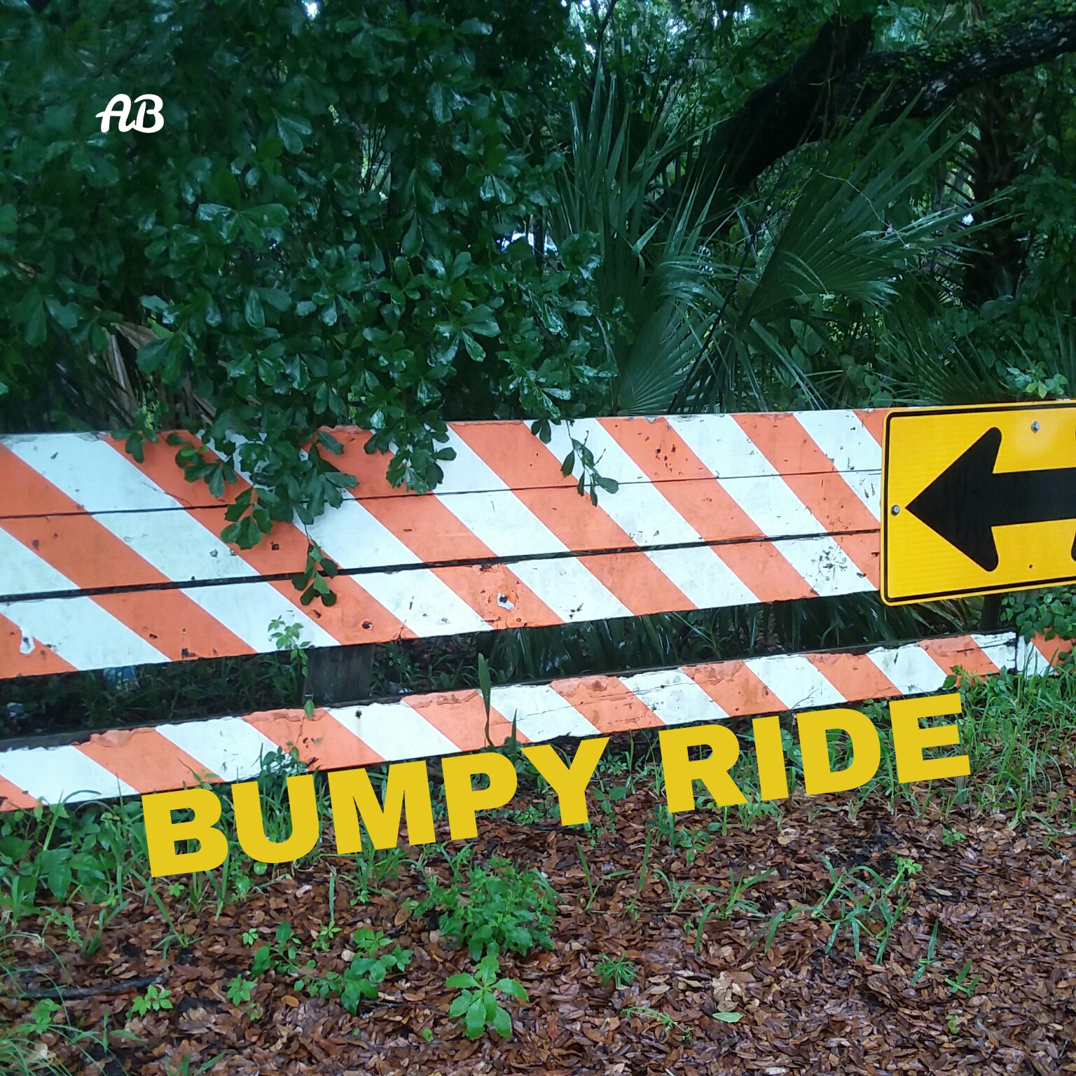 AB Poetry Bumpy Ride ab-poetry-bumpy-ride
