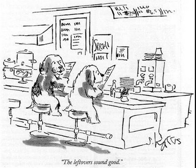 Chuck's Fun Page 2: Seven single-panel, animal cartoons