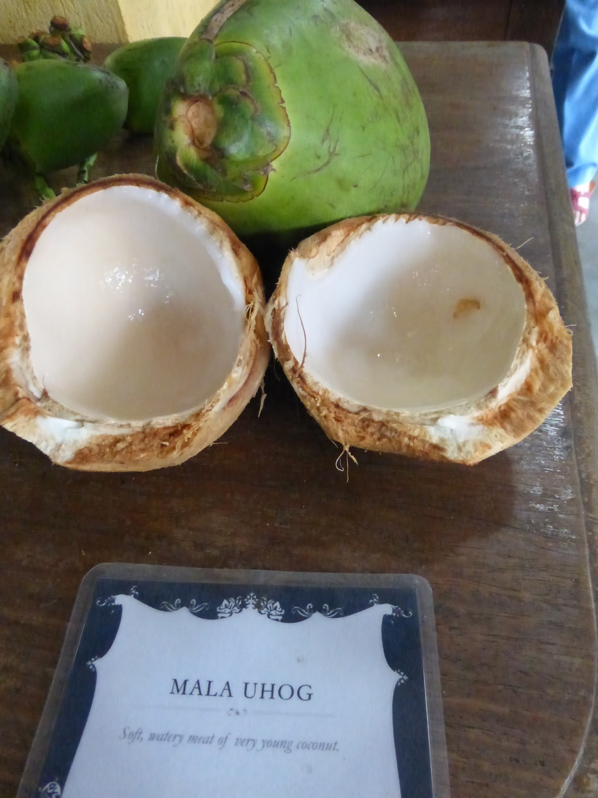 COCONUT 101: Food Products from the Coconut Tree