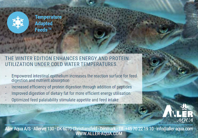 The Aquaculturists: Aller Aqua company profile