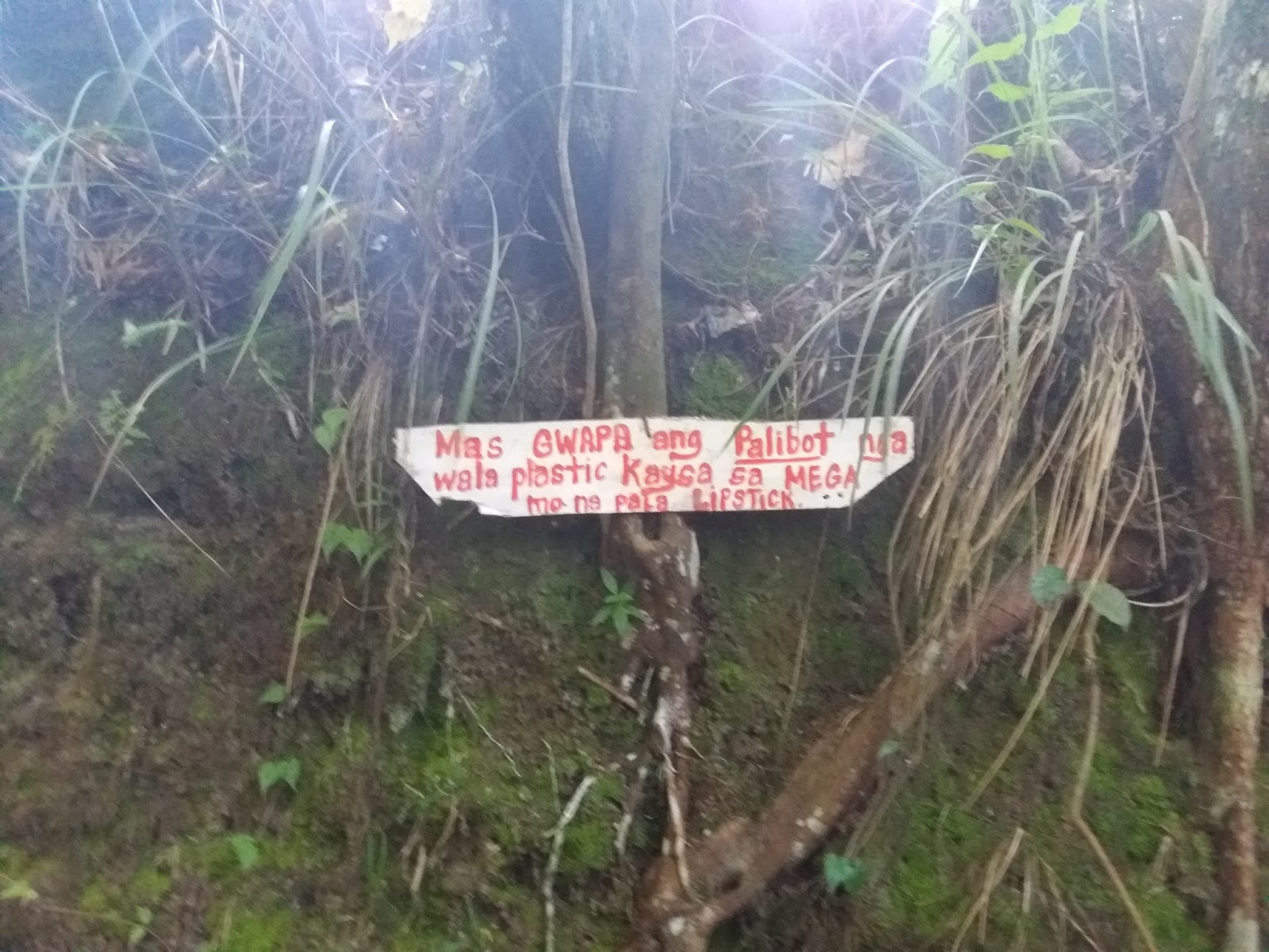 Lakbay Hugot: Patag Mountain Resort, Silay City, Negros Occidental ...