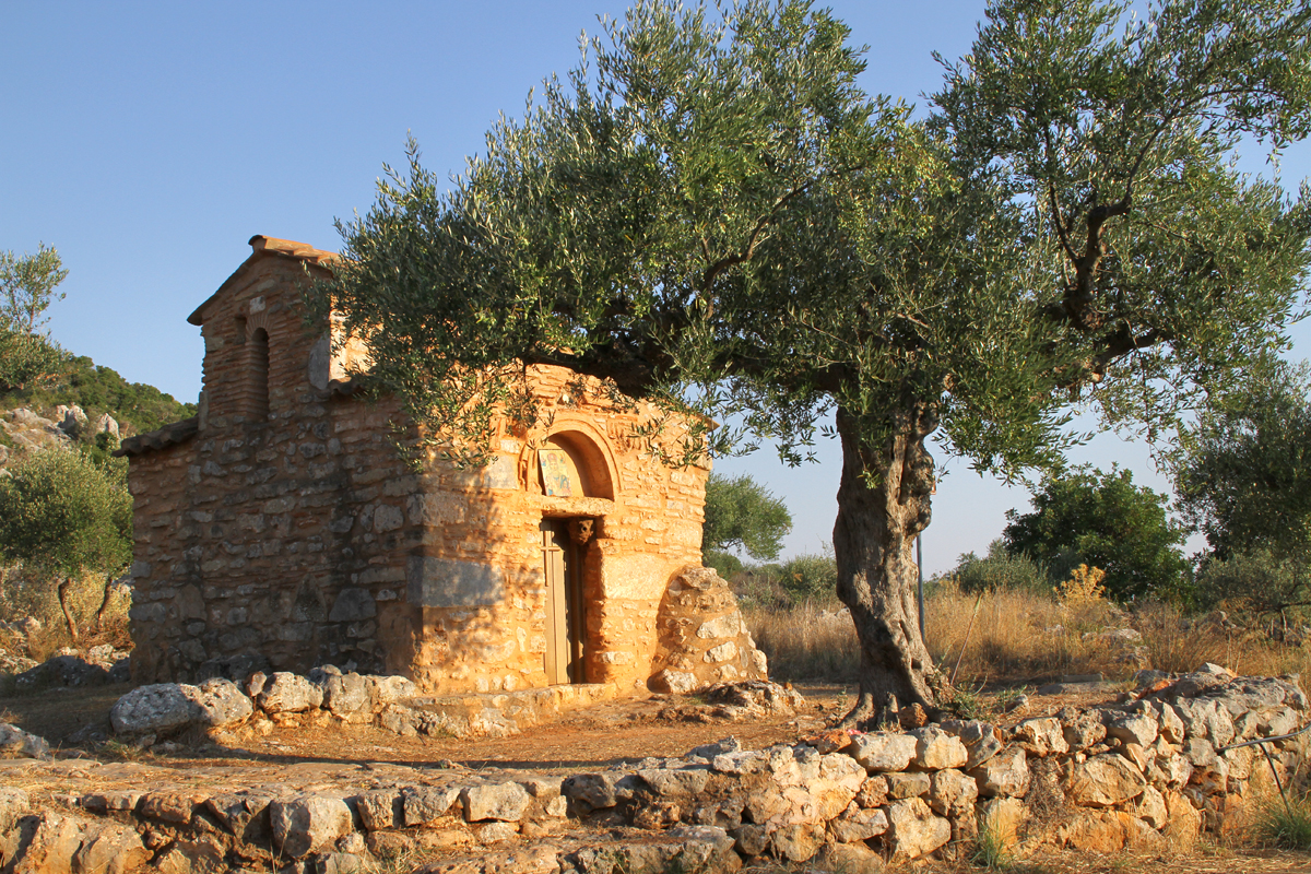 Antiguos OLIVOS del Mediterráneo : GREECE. ELLADA. MESSINIA. METHONI ...