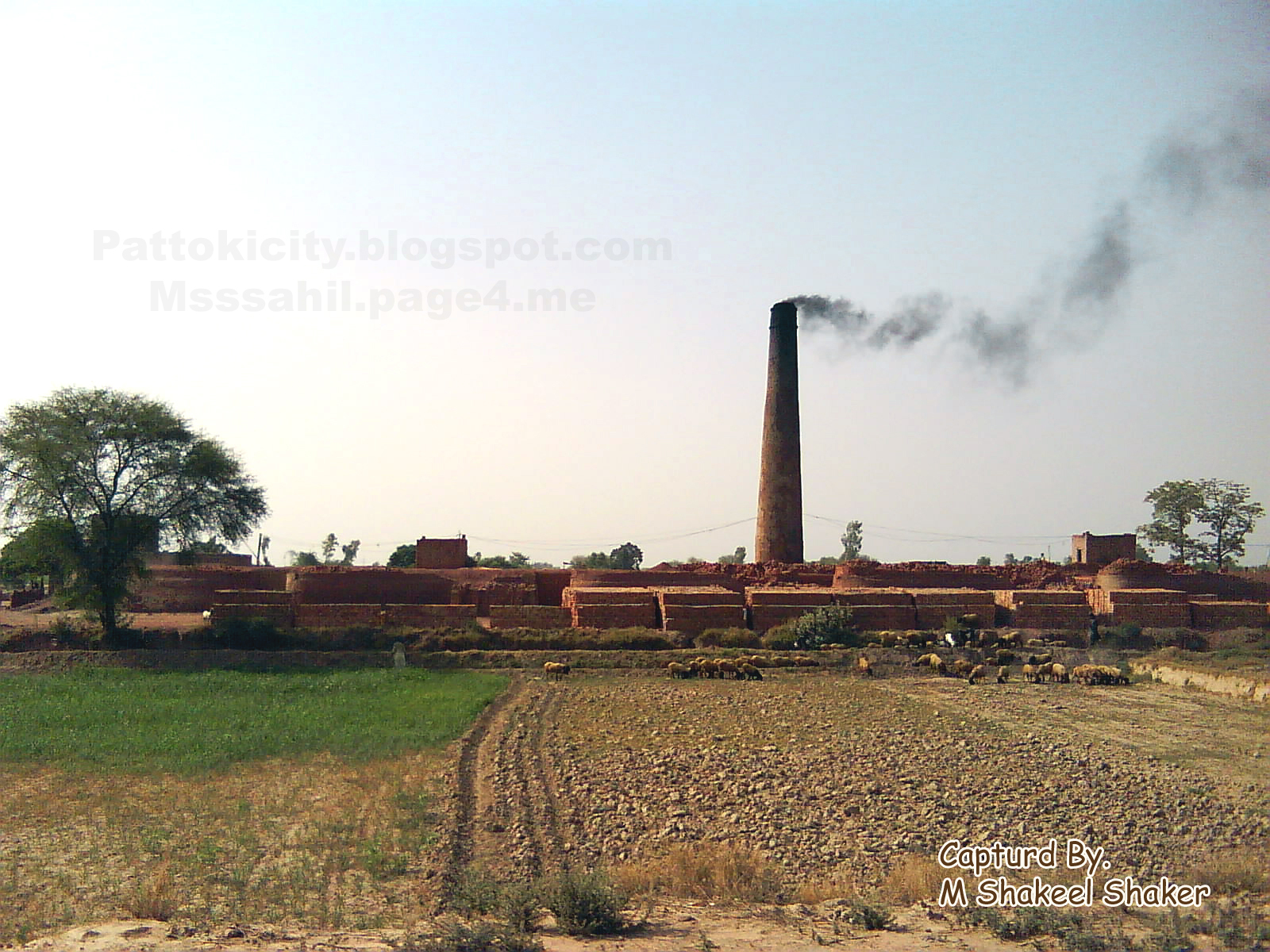 Pattoki City: PATTOKI IMAGES