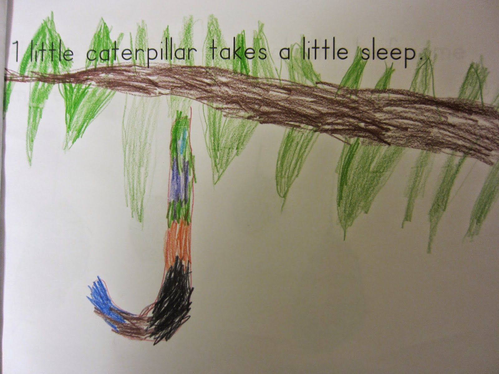 Caterpillars | Wonderful Kindergarten