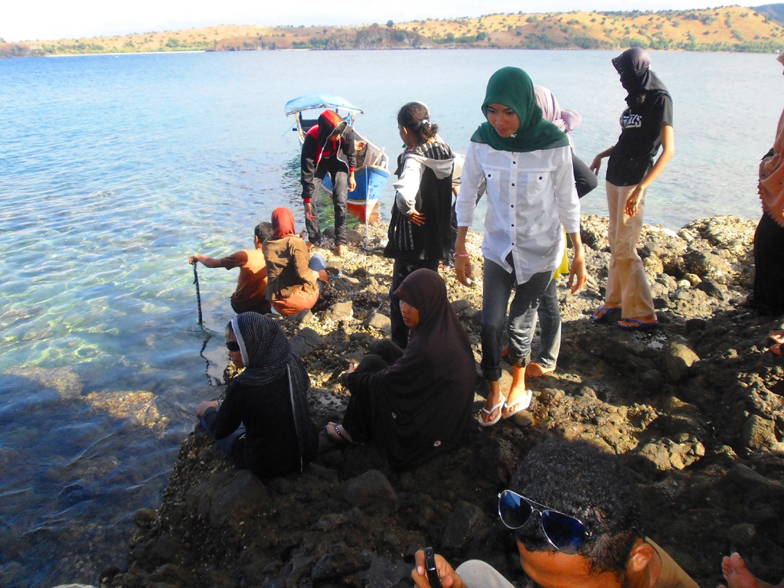 pulau ular Bima - wisata bima