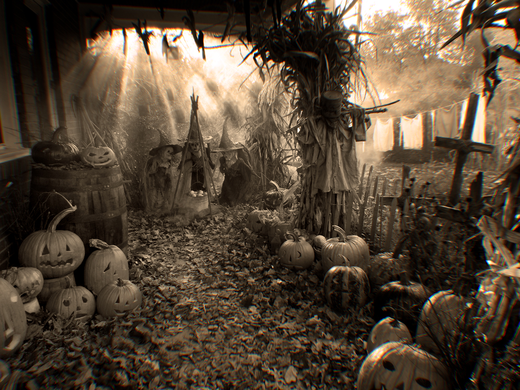 PUMPKINROT.COM: The Blog: Happy Halloween