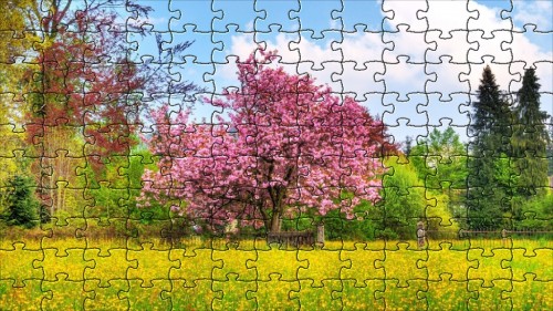Cherry tree puzzle | Puzzle Games