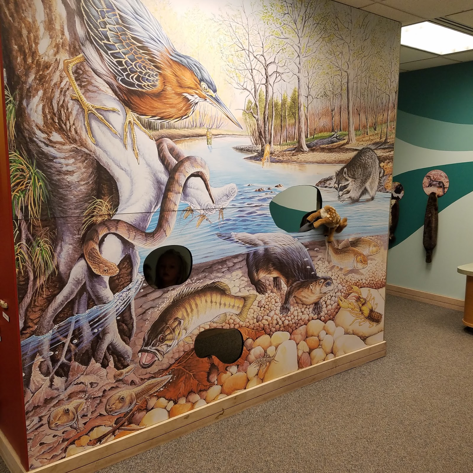 Play St. Louis: Powder Valley Nature Center, Kirkwood