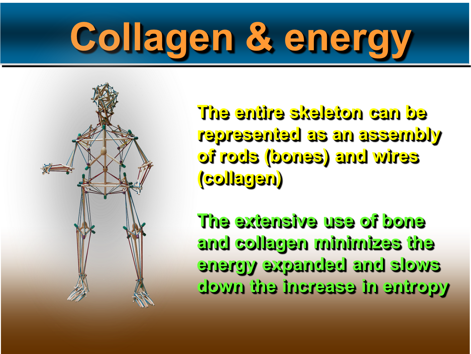 The Fascia Therapy Blog: Life, Tensegrity, and Thermodynamics