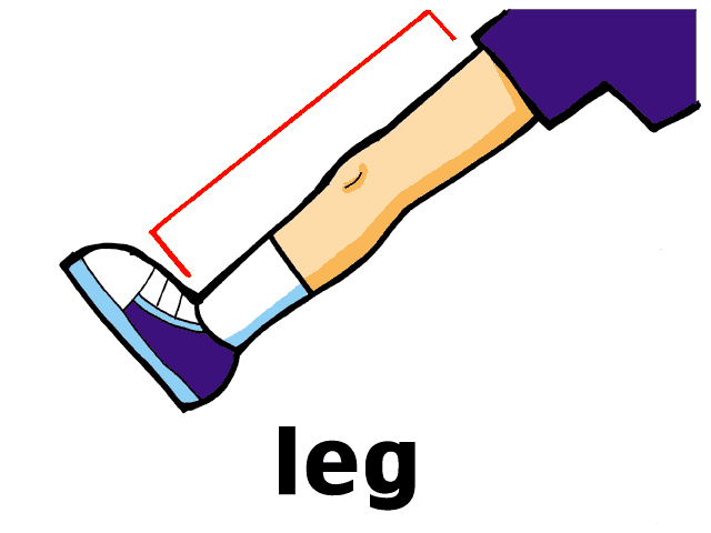 Vocabulario en imágenes. Maestra de Infantil y Primaria.: Body parts ...