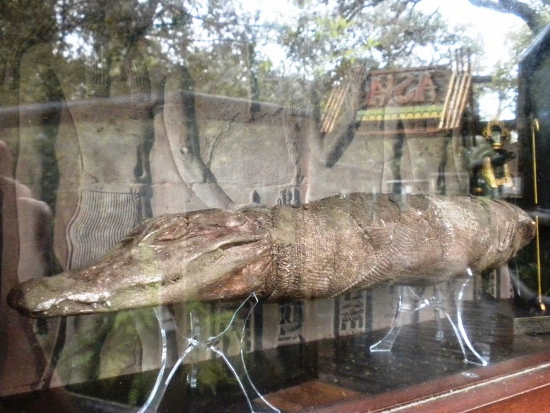 The Zoo Review: Zoo History: Menageries and Mummies