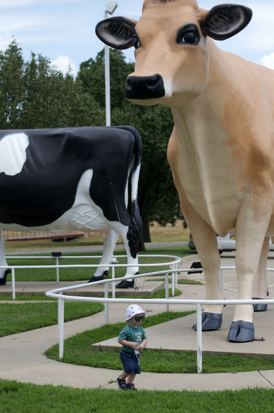 L to the third: Today's post is brought to you by giant cows