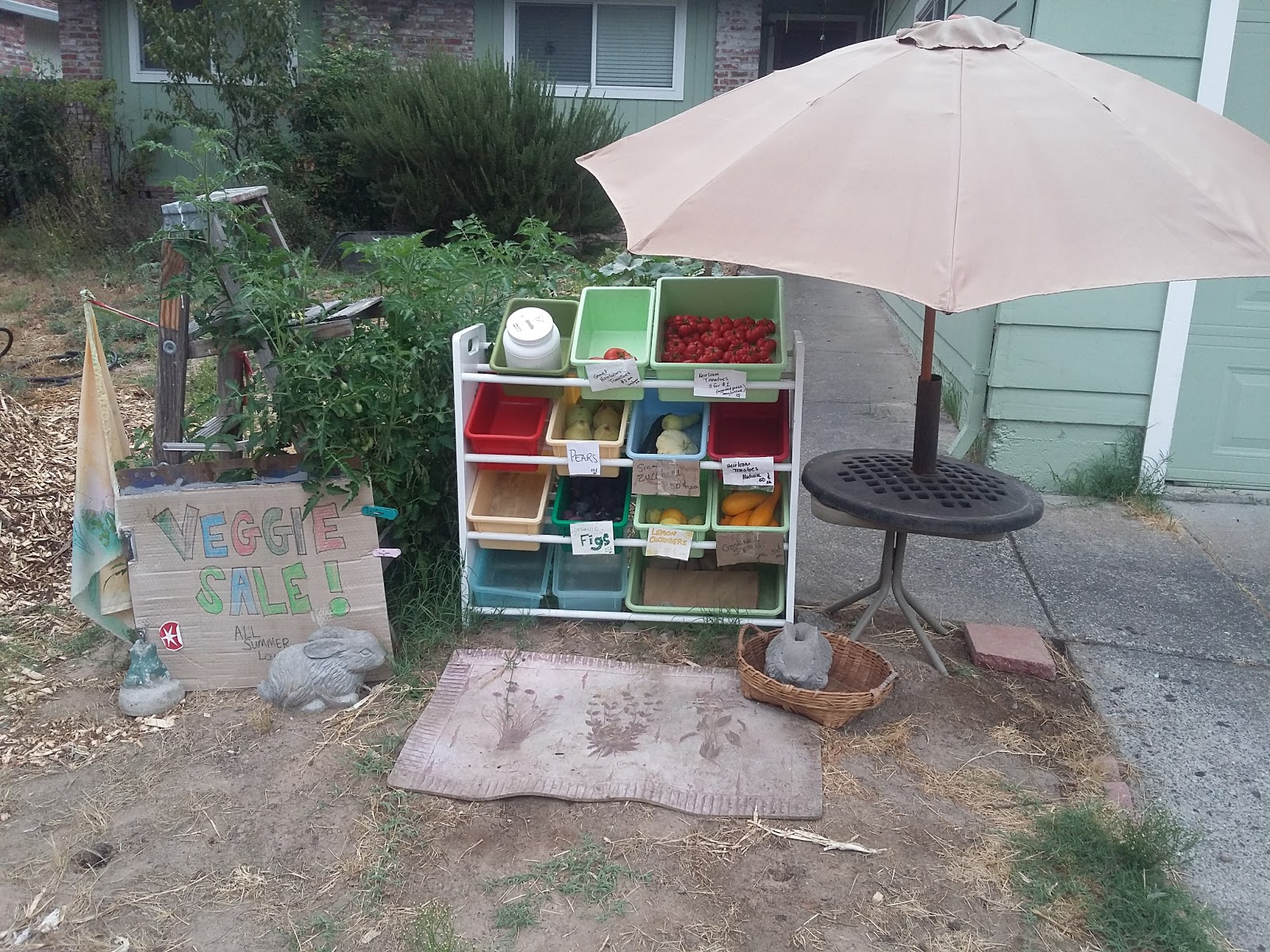 The Scientific Gardener: Neighborhood Farm Stand