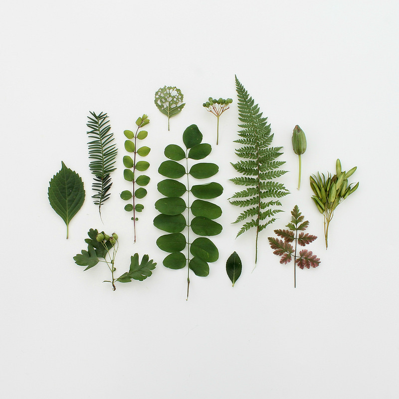 scraps of us : Collected Treasures...