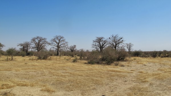 DES AFRIQUE...entre EAUX, AIRS et DESERTS: LE FERLO.