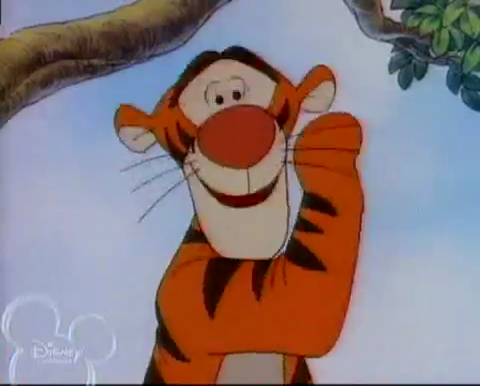 The New Adventures of Winnie The Pooh: Tigger's Shoes