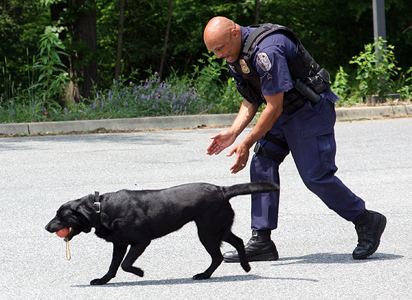PGPD News: PGPD Welcomes New Explosives Detection K-9