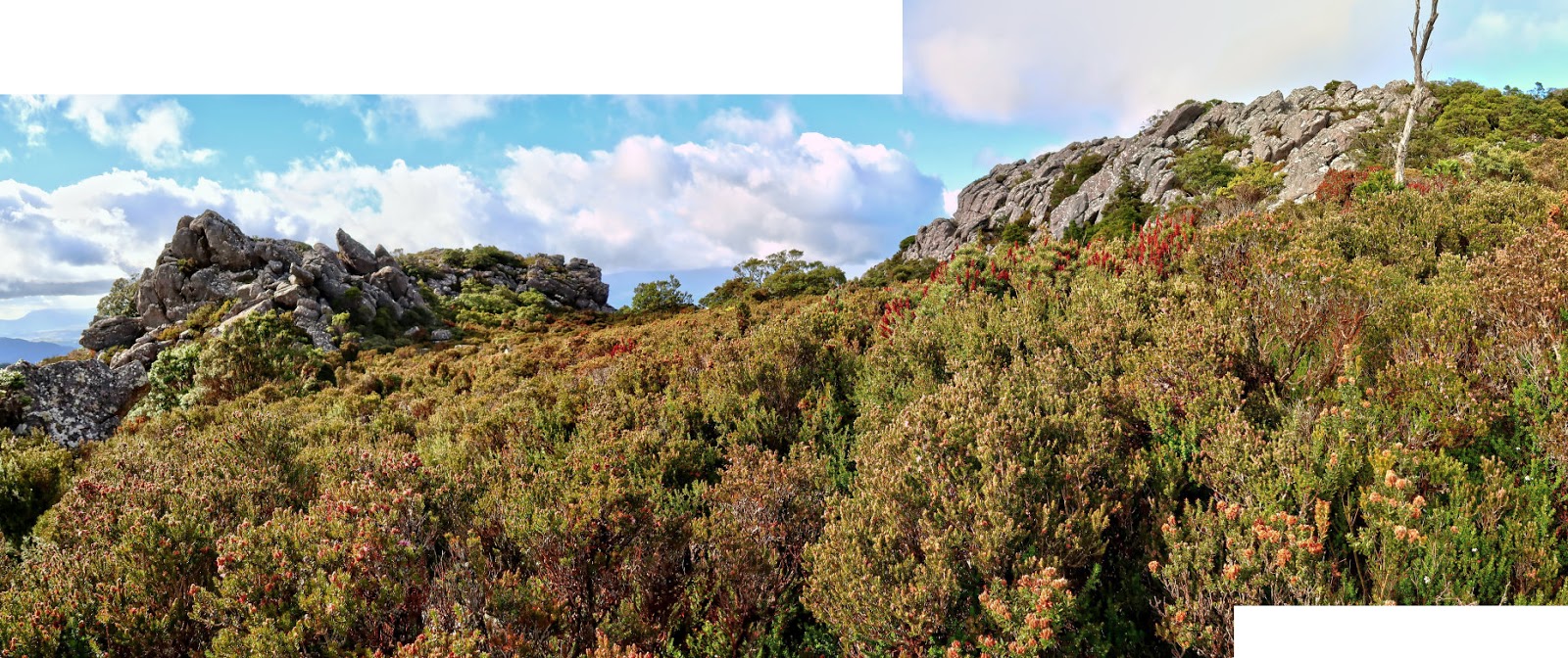 Mountains: Mt Roland, Mt Vandyke, Mt Claude Lookout, Tas, Australia